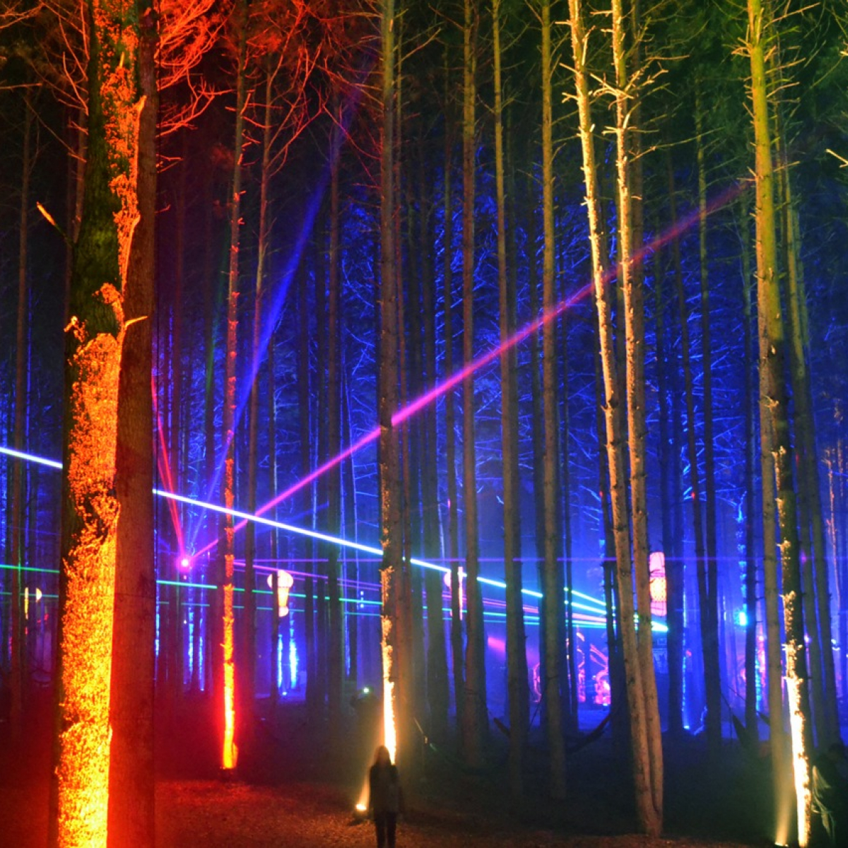Electric Forest - Image SFX